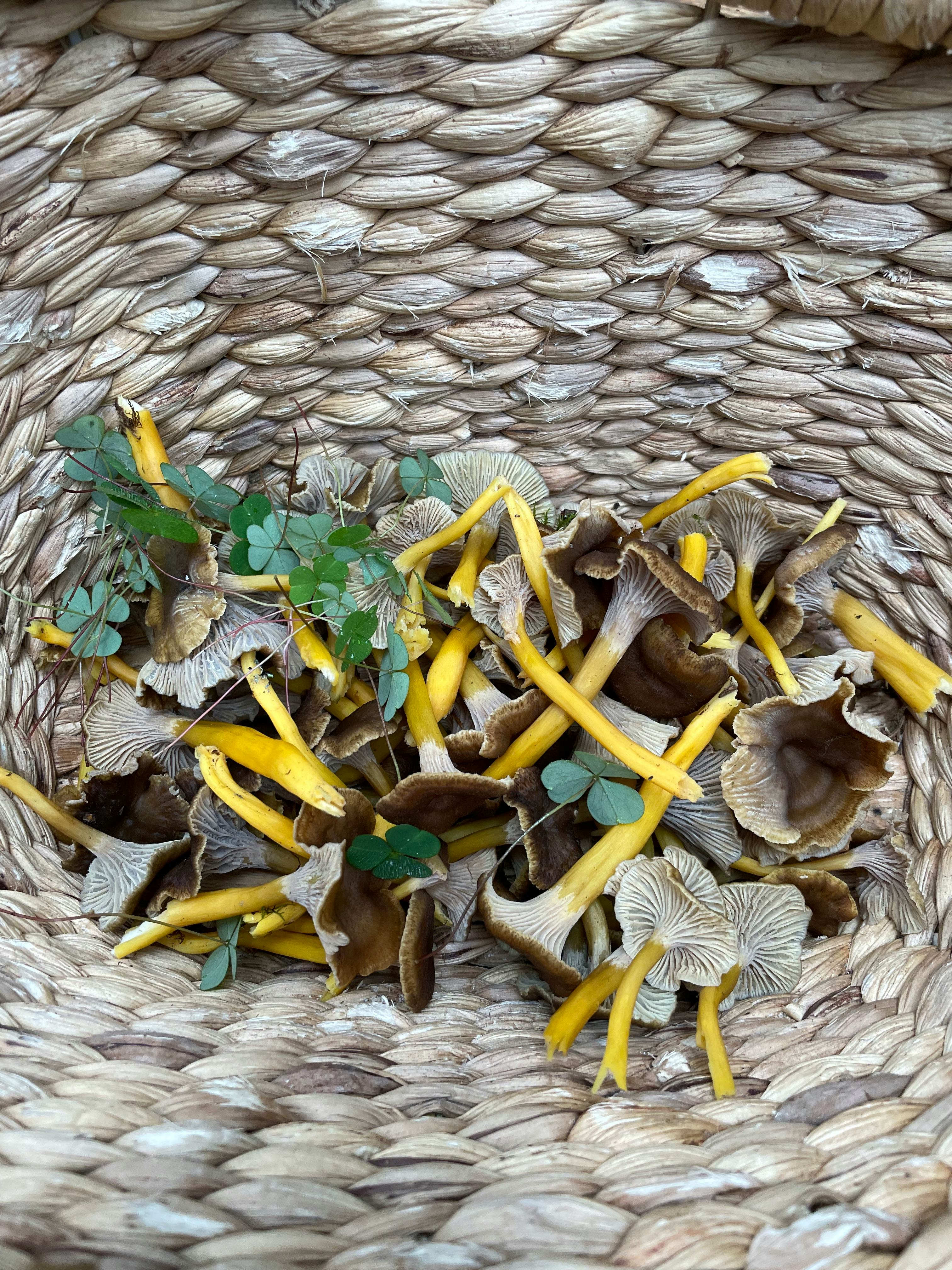 Sweden's Smaland Travel Guide: Where To Stay, Eat & What To Do