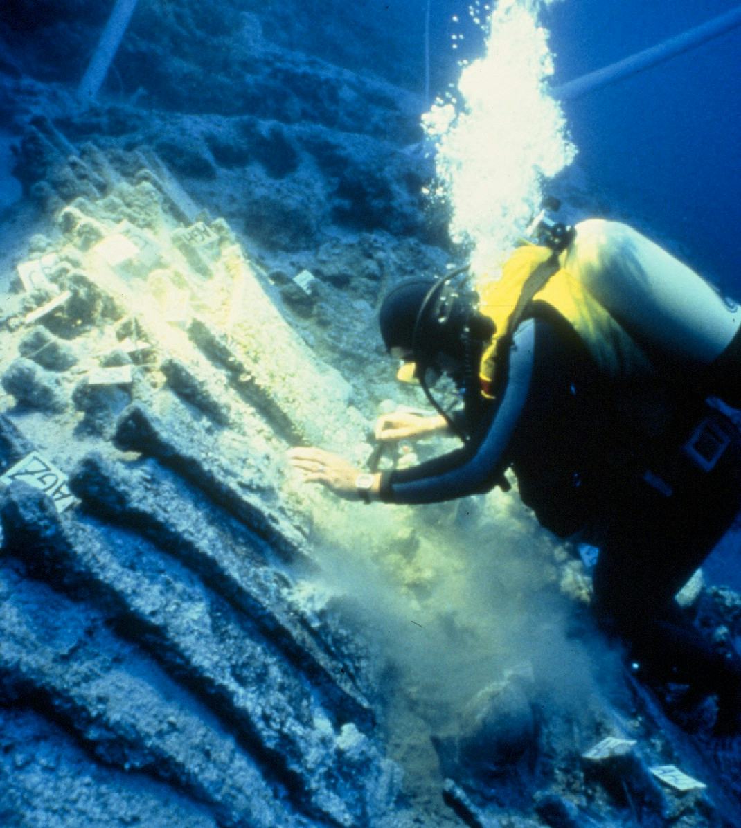3,000-year-old shipwreck reveals an ancient international trade route