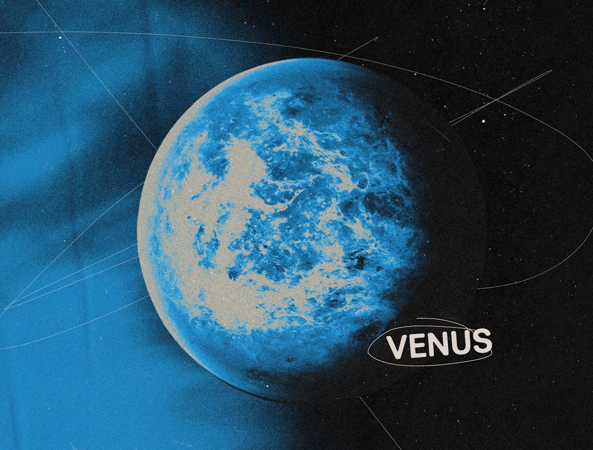 What Does Your Venus Sign Mean In Astrology?
