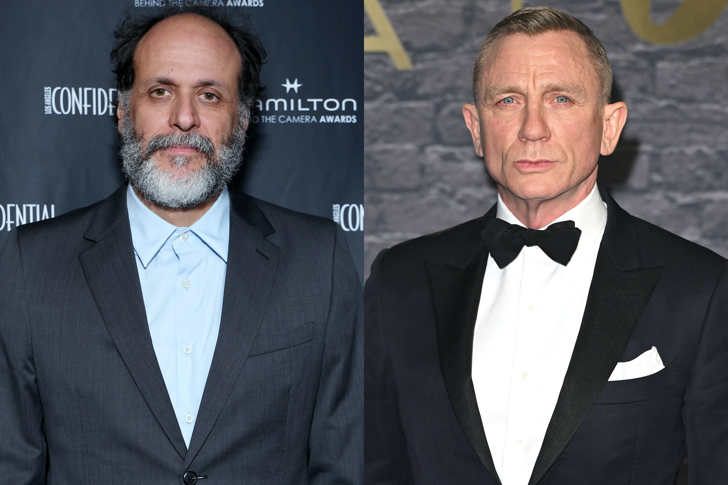Daniel Craig to Star in Luca Guadagnino's 'Queer'