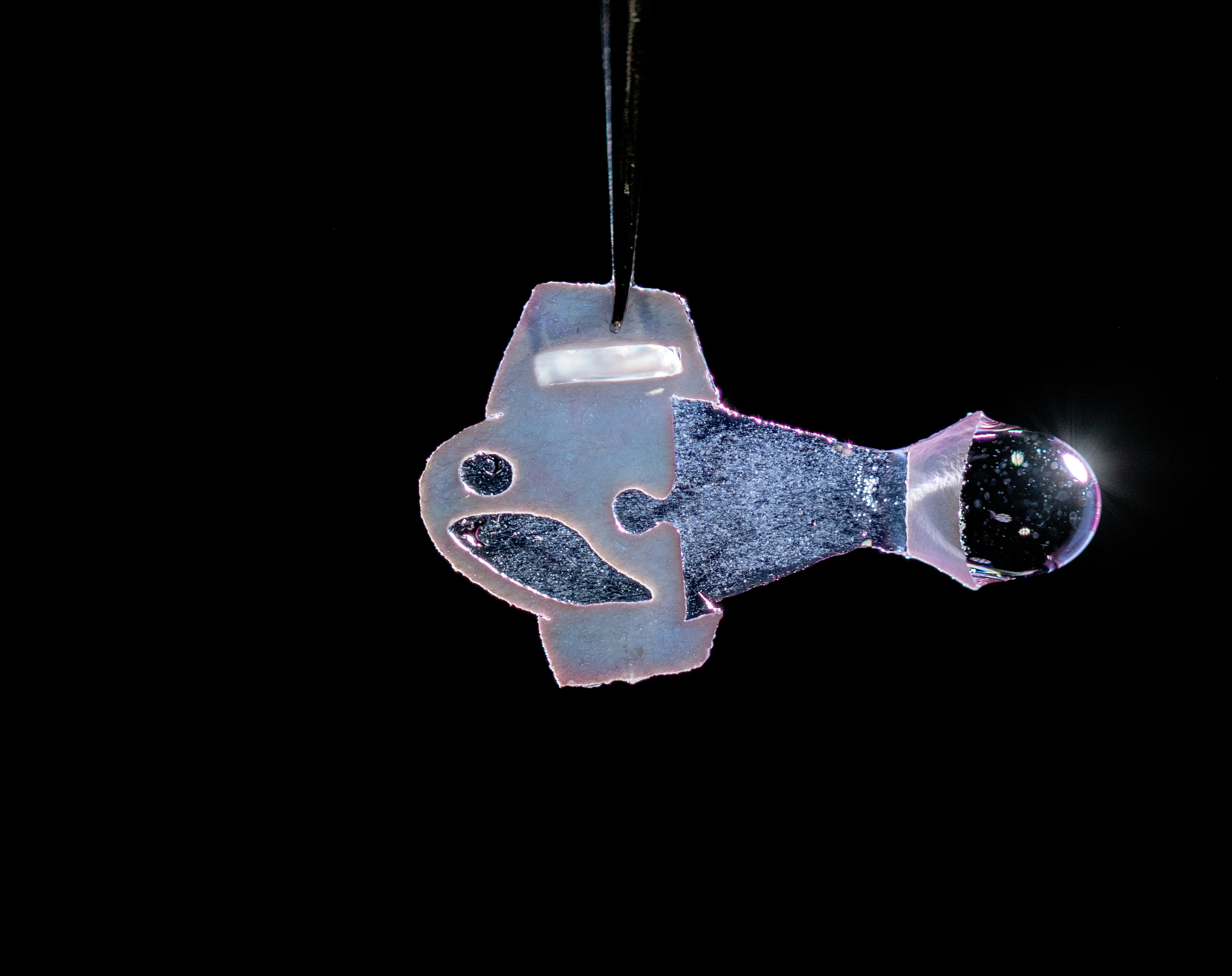 This human cell-powered robot fish is actually a huge medical breakthrough