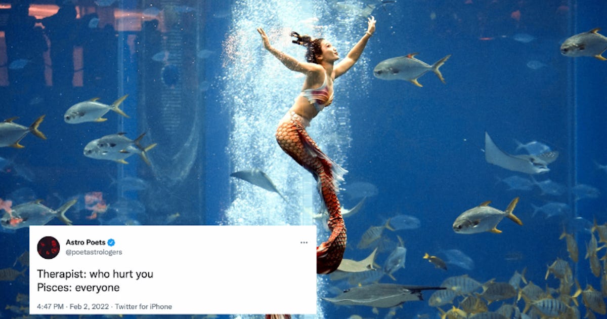 Pisces Memes That Celebrate The Zodiacs Most Emotional Season