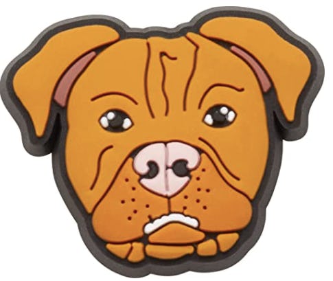 The 12 Best Crocs Charms