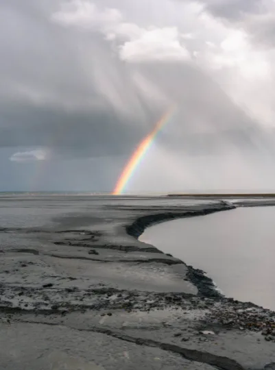 12 Free St. Patrick's Day Wallpapers Featuring Shamrocks, Rainbows, & More