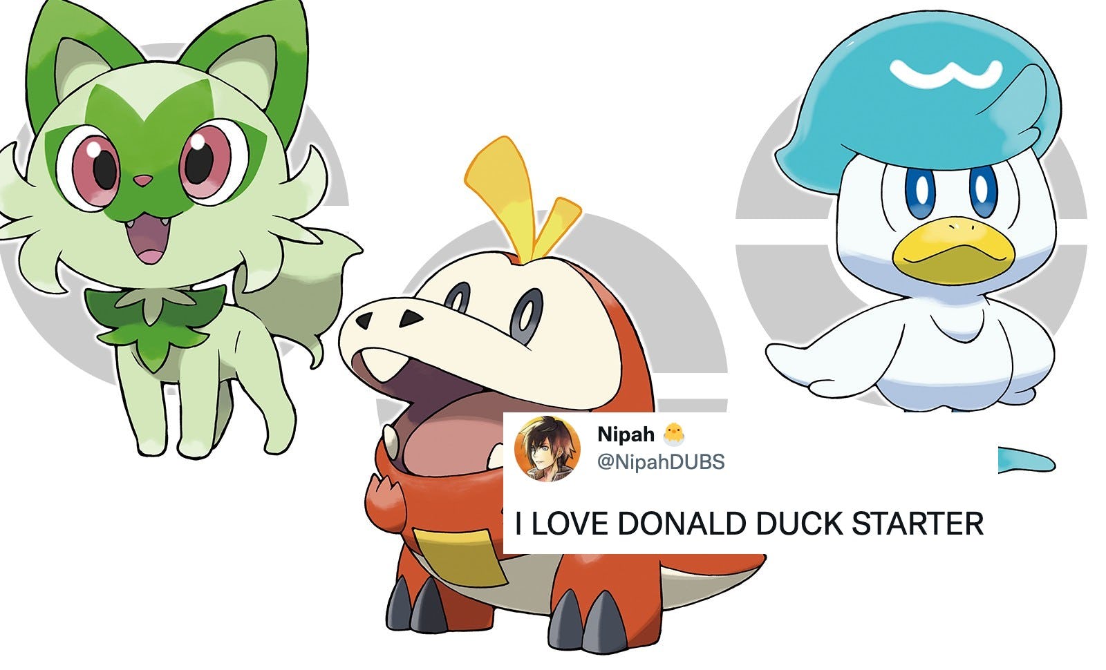 Memes About The 'Pokémon Scarlet' & 'Violet' Starters