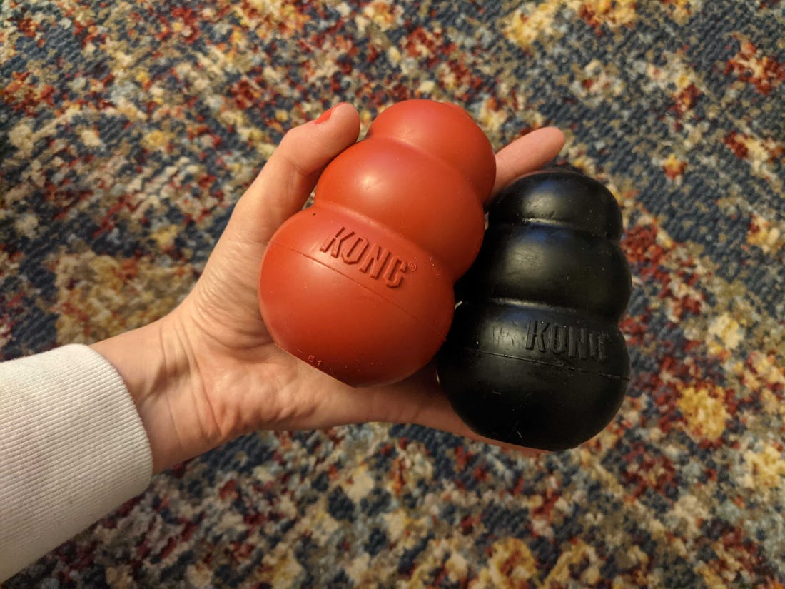 KONG Dog Toys Review: I Tested 5 Options & Here Are My Thoughts