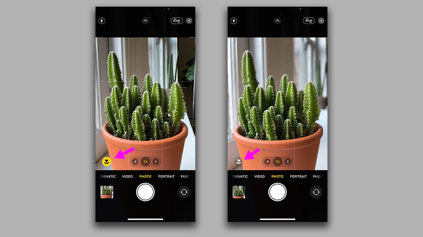 How to use the iPhone 13 Pro’s in-camera macro toggle