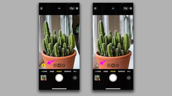 How to use the iPhone 13 Pro’s in-camera macro toggle