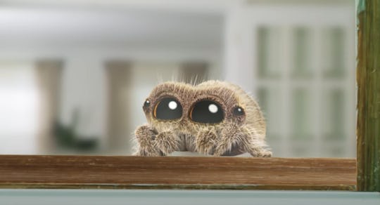 Exclusive Look At New 'Lucas The Spider' Episode On HBO Max