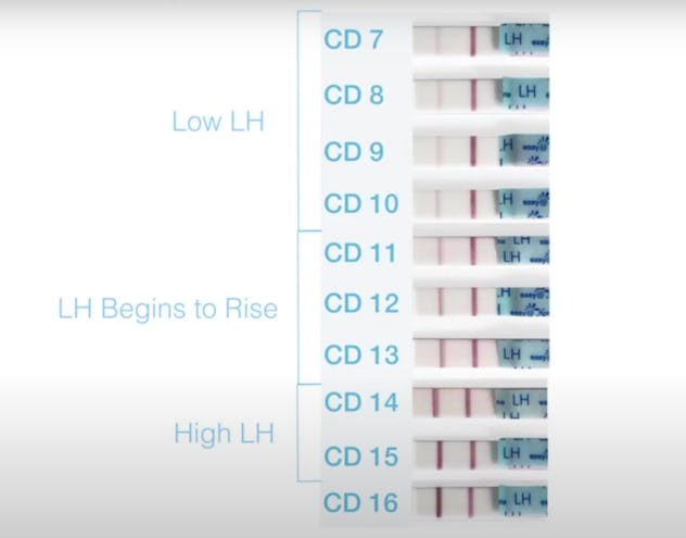 26 Ovulation Test Photos To Help You Read Your Own Results