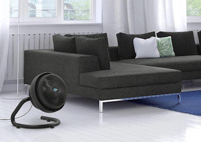 The 11 Best Floor Fans