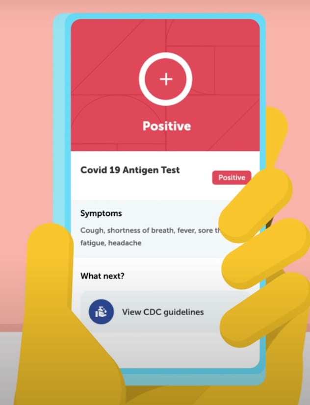 17 Pictures Of Positive Covid Tests To Help You Accurately Read Your Own