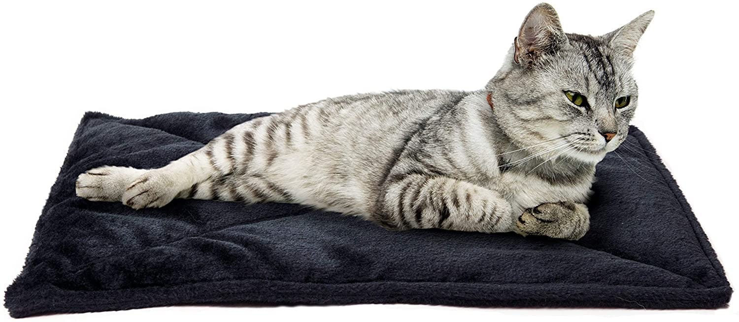 The 5 Best Cat Heating Pads