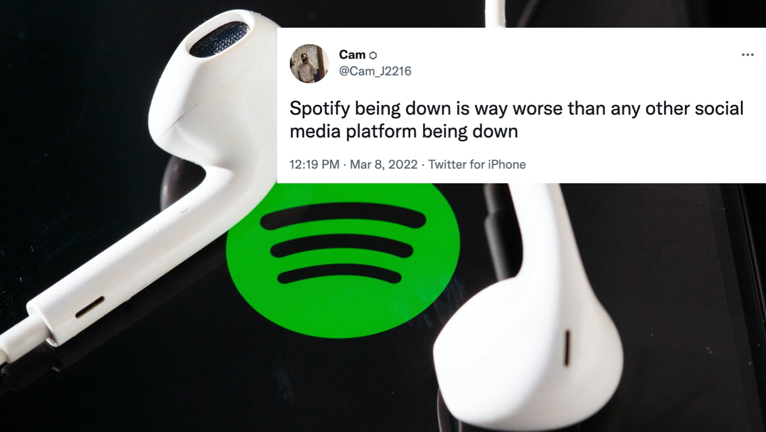 Memes About Spotify's Temporary Outage