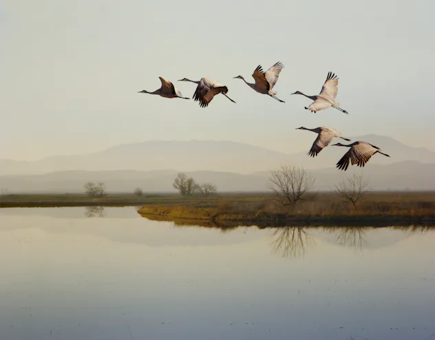 13 Earth Day Poems & Haikus Even Kids Will Get