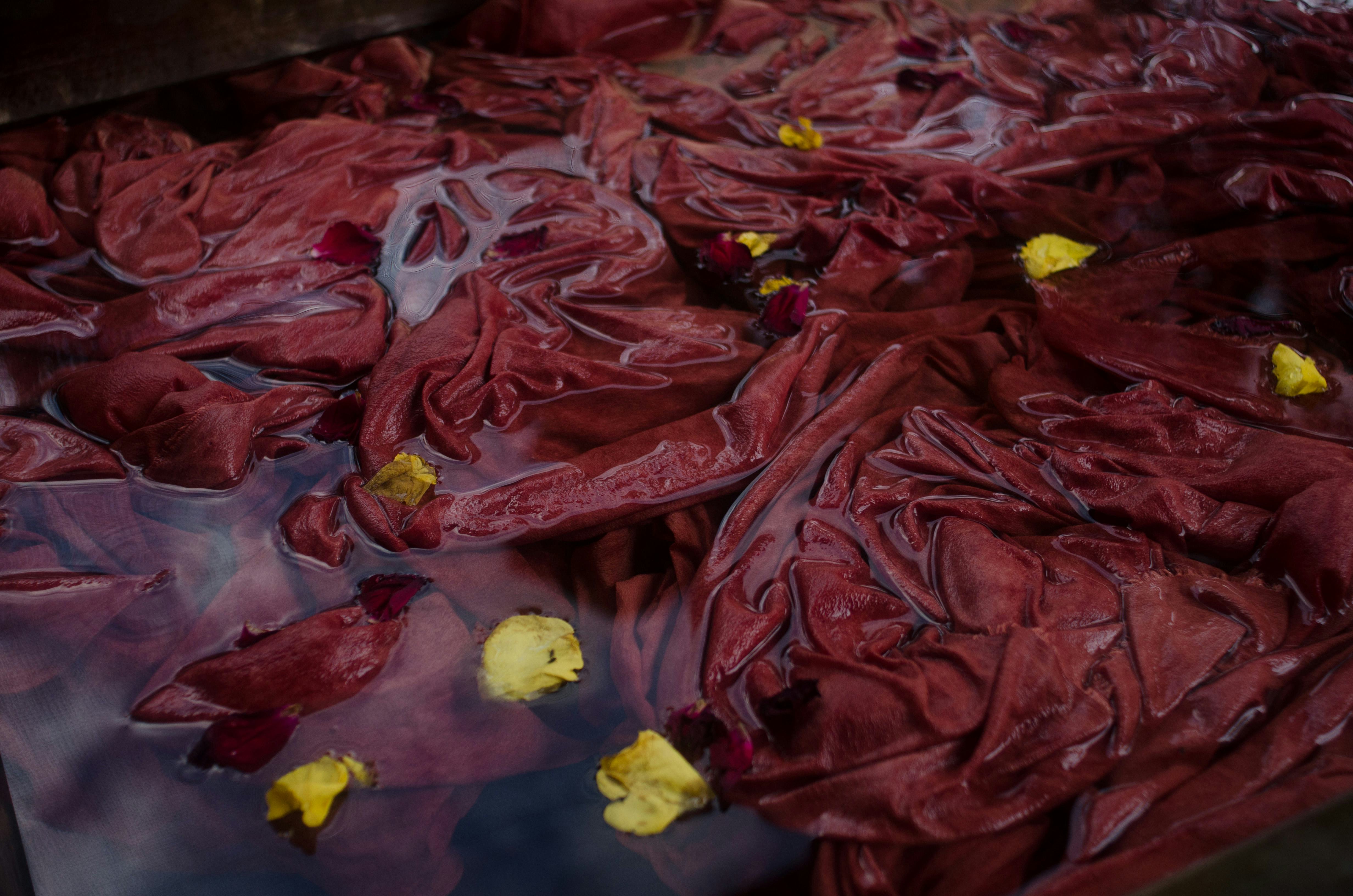 Plant-Dyed Clothing — What This Holds For The Future Of Sustainability ...