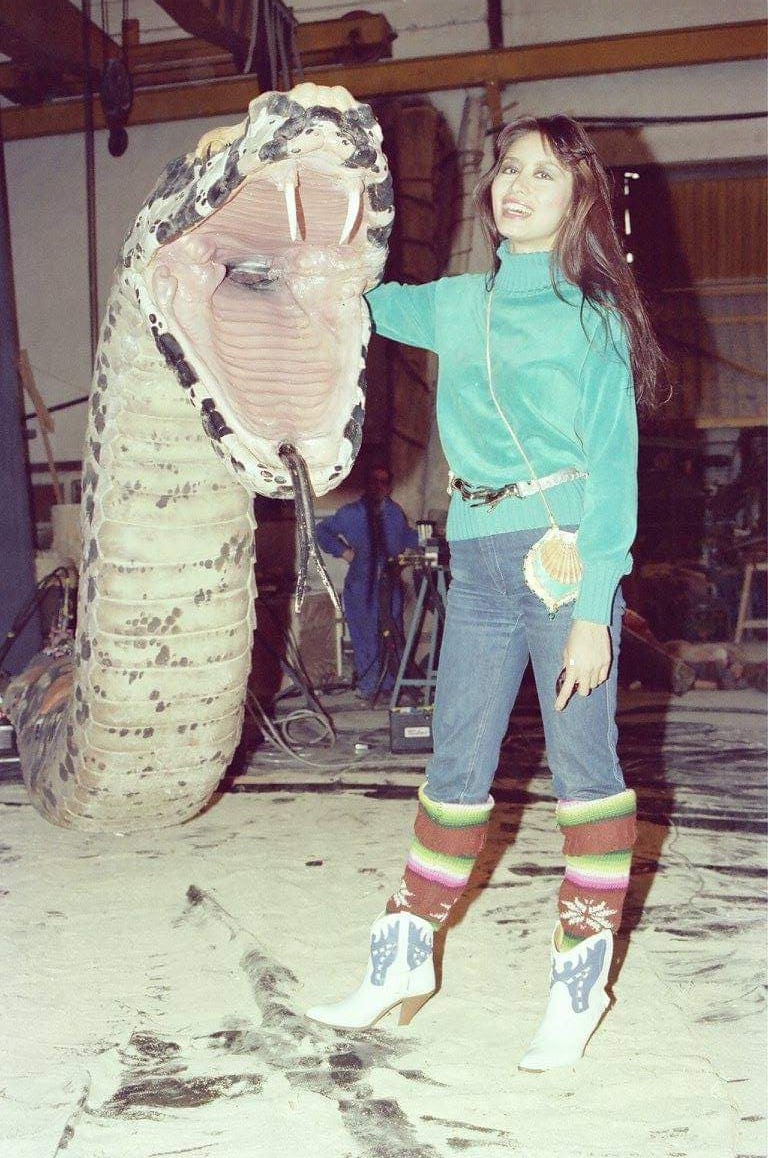 40 years ago, Conan the Barbarian turned Arnold Schwarzenegger into a star