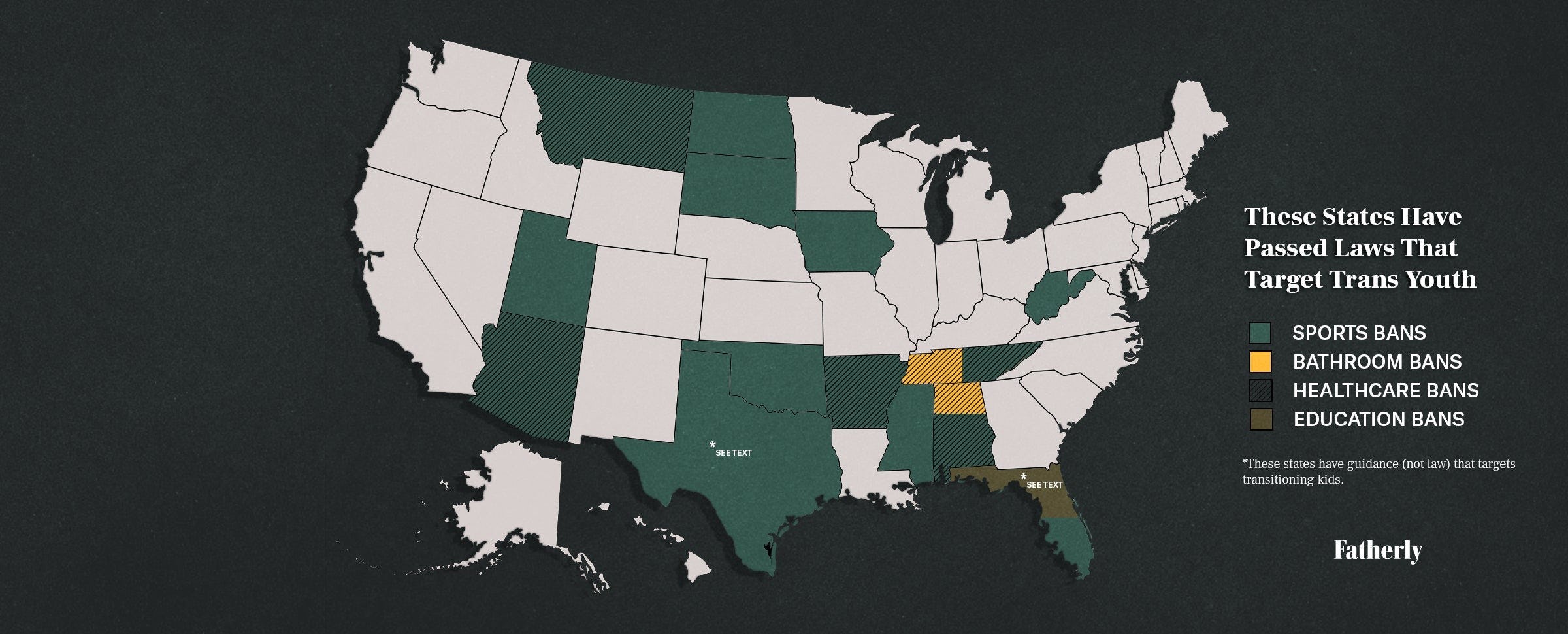 This Map Shows All the States That Have Passed Anti-Trans Laws