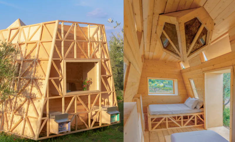This Airbnb Bee Farm Stay In Italy Is Like Sleeping In A Giant Beehive