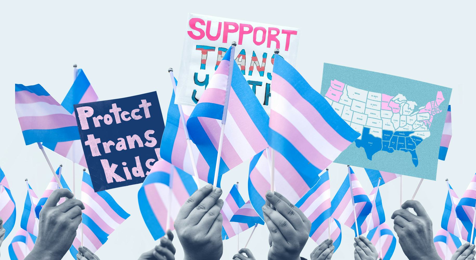 This Map Shows All the States That Have Passed Anti-Trans Laws