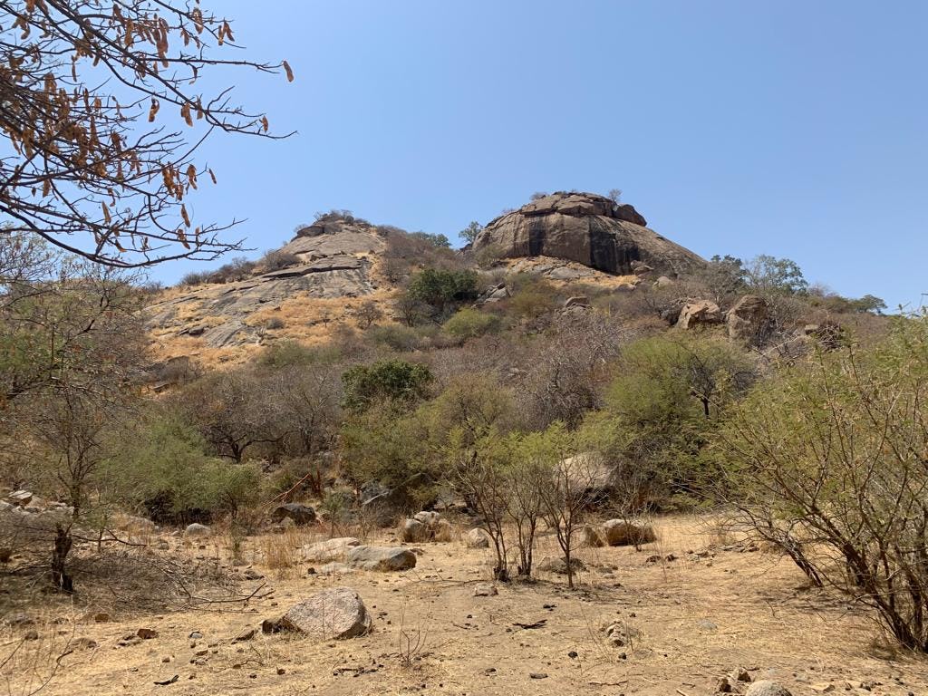 Chébé Powder's Ancient Roots Could Be The Key To Long, Strong Hair