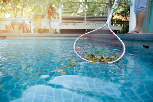 The 9 Best Pool Cleaners For Leaves