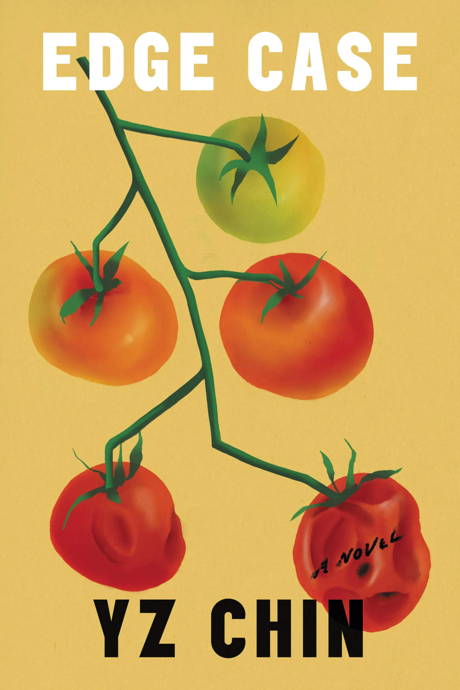 30 Books To Read For Asian American & Pacific Islander Heritage Month