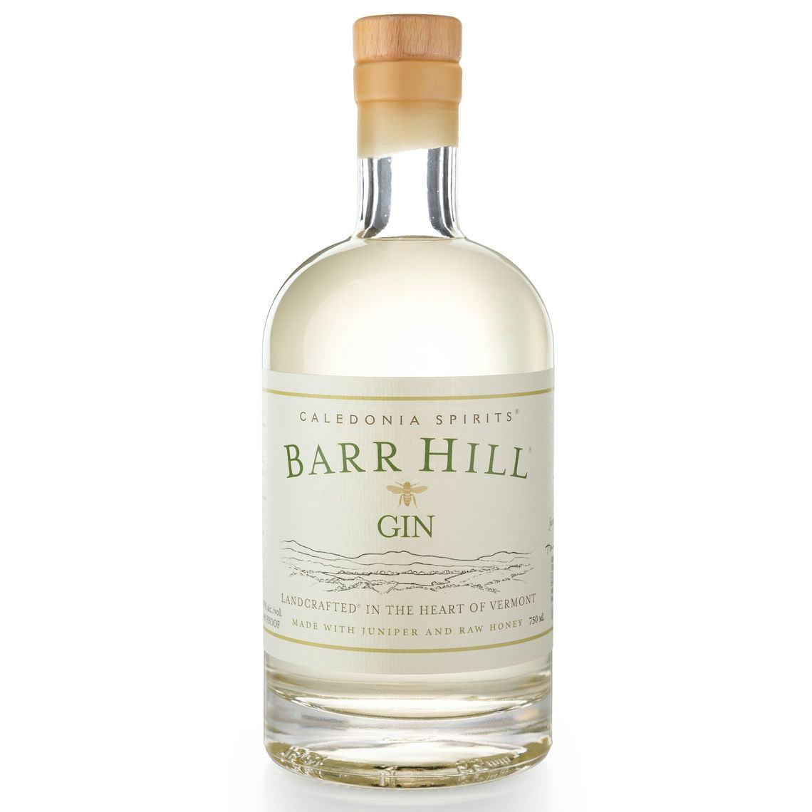 The Gin Martini's Origin & Evolution: From The 1800s To Now