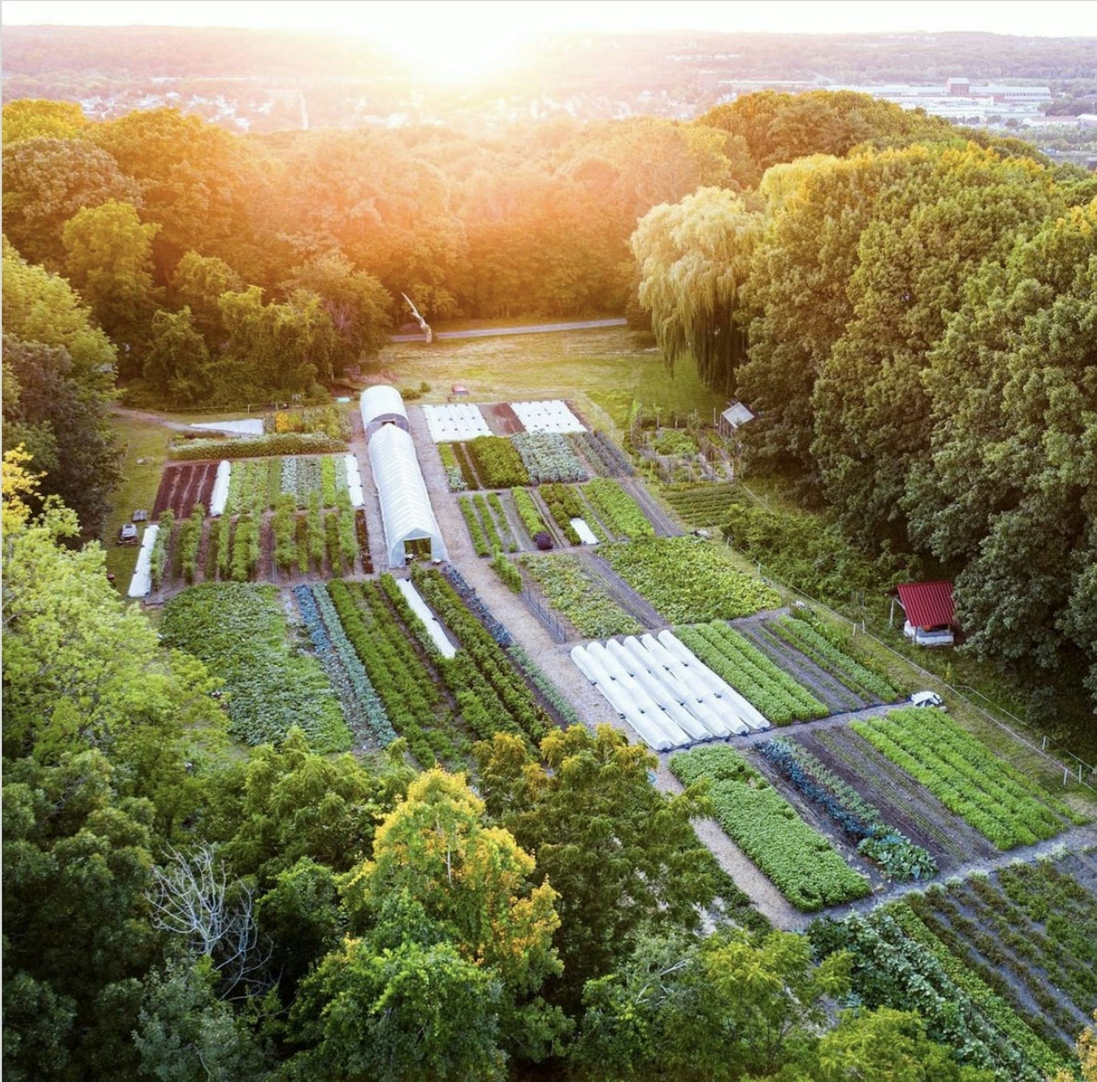 9 Gardeners To Follow On Instagram