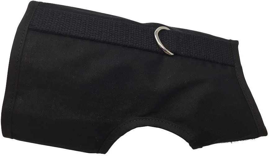 The 8 Best Escape-Proof Cat Harnesses