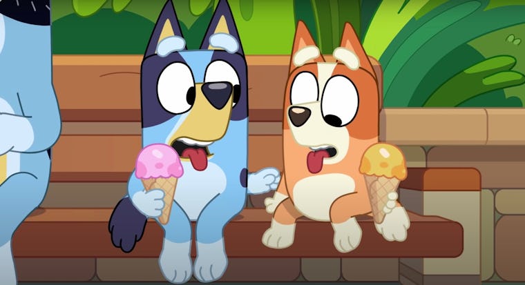 What Kind Of Dog Is Bluey? A Guide To Every Breed In The Show