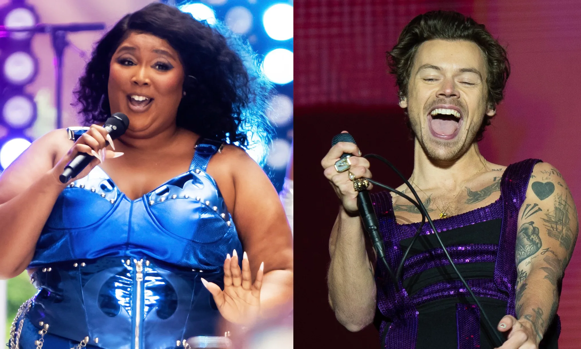 Harry Styles Sent Lizzo Flowers In This Supportive TikTok Video