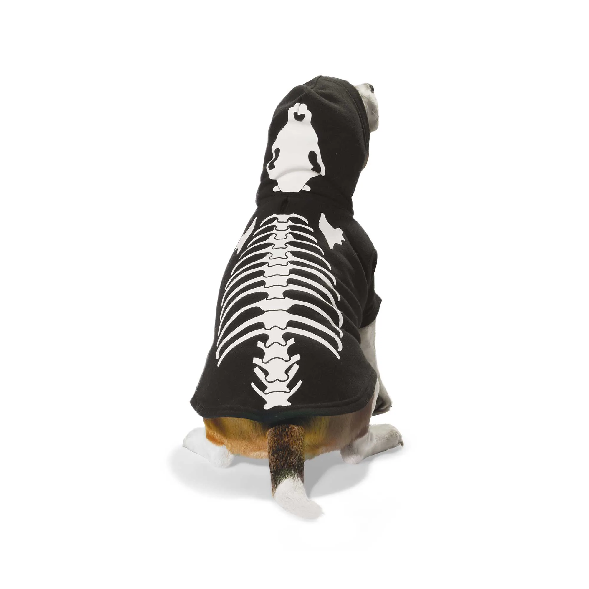 Petco's Halloween 2022 Collection For Dogs Includes Matching Sets For ...