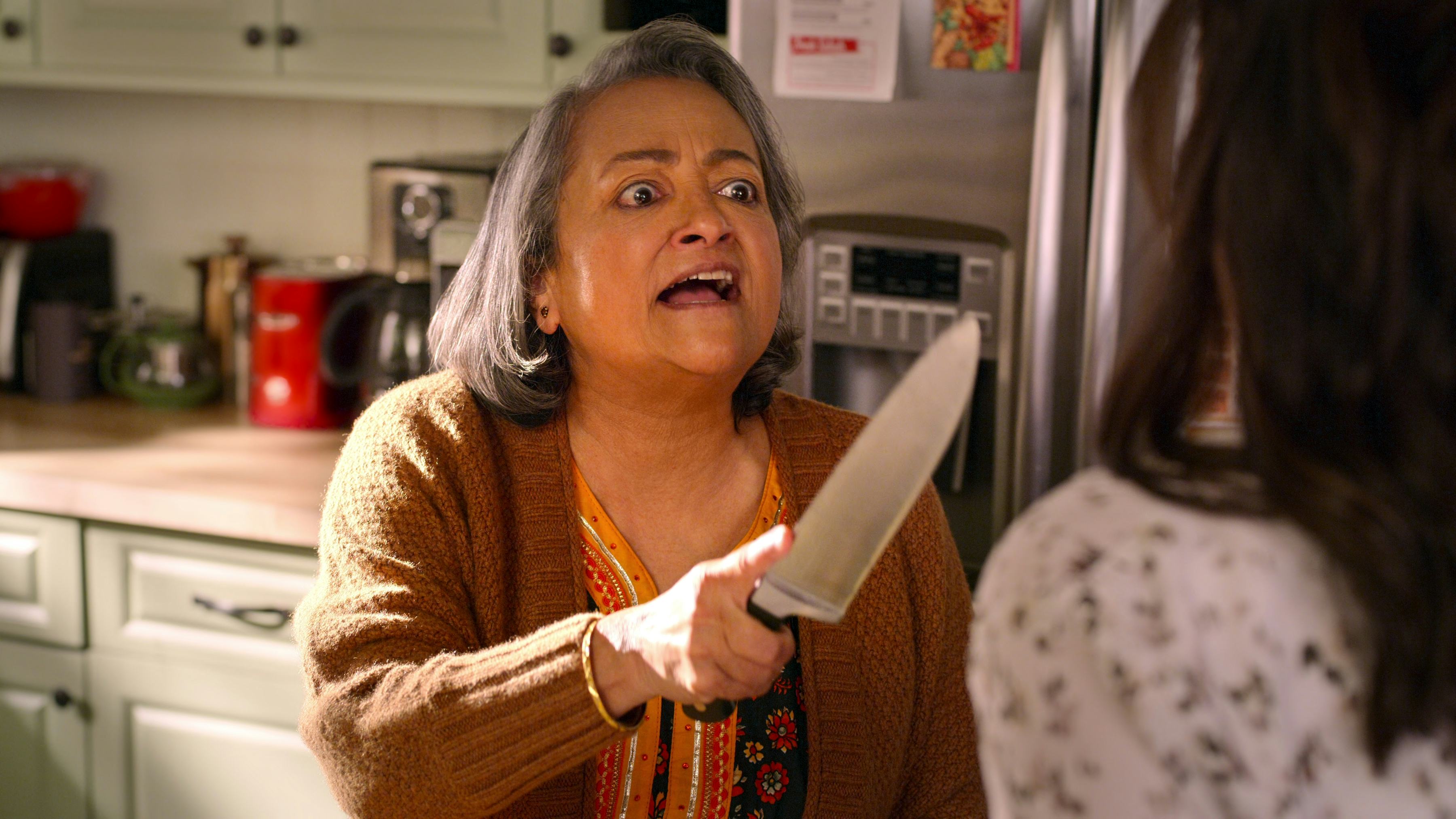 'Never Have I Ever' Season 4: Release Date, Cast, Trailer, Updates