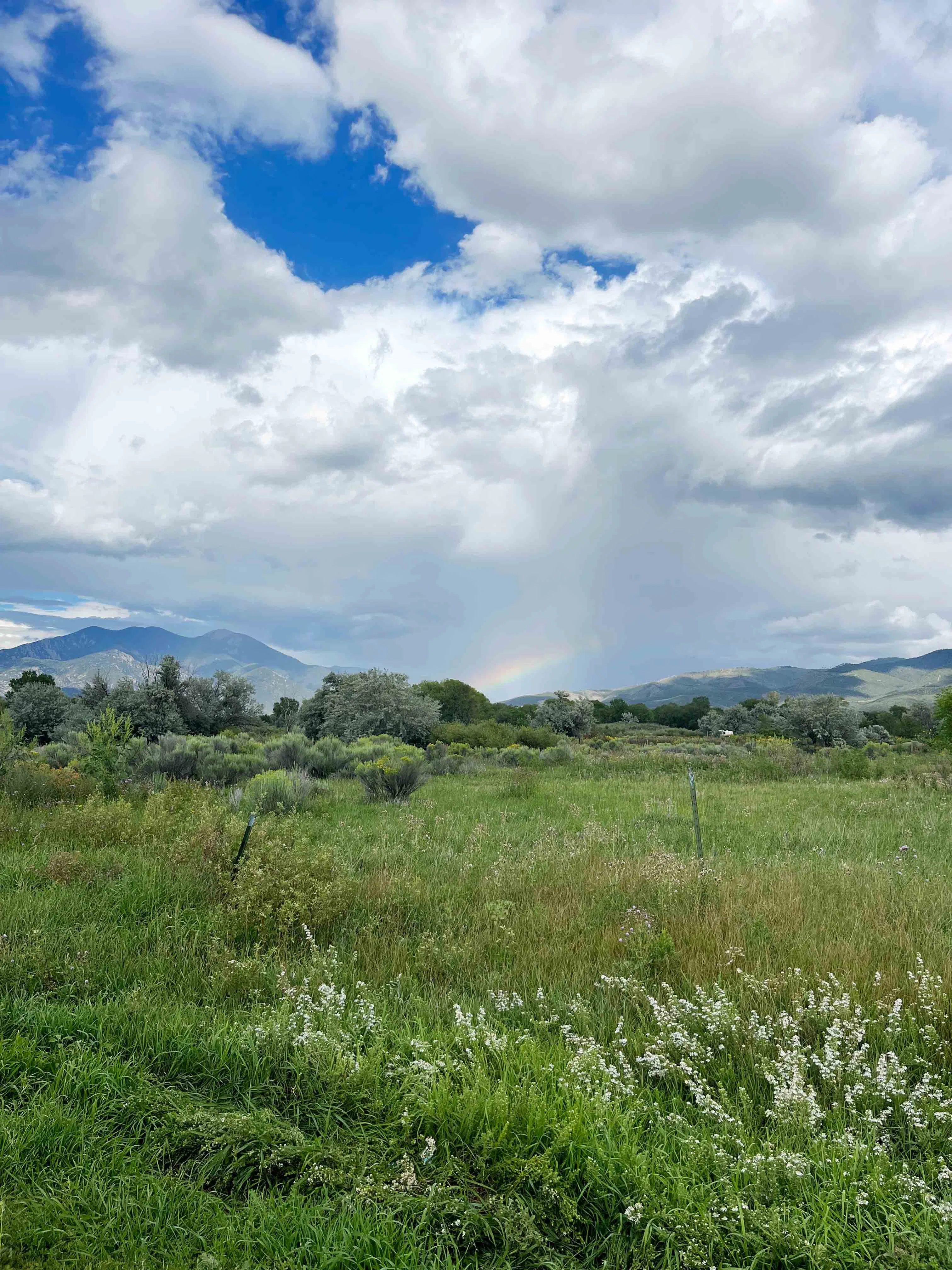 Taos & Santa Fe Guide: Why This Scenic Getaway Is Best By Car