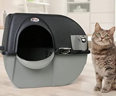 The 8 Best Dog-Proof Litter Boxes