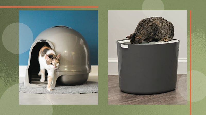 The 8 Best Dog-Proof Litter Boxes