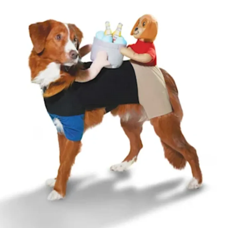 These New Petco Halloween Costumes for 2022 Are Pawsitively Bootiful