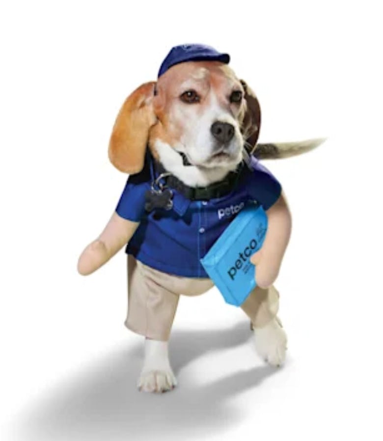 These New Petco Halloween Costumes for 2022 Are Pawsitively Bootiful
