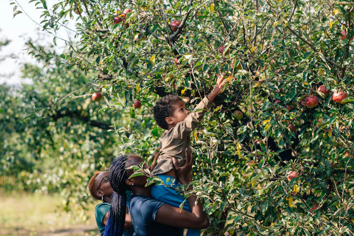 12 Tips For Apple Picking With Kids In Fall 2022