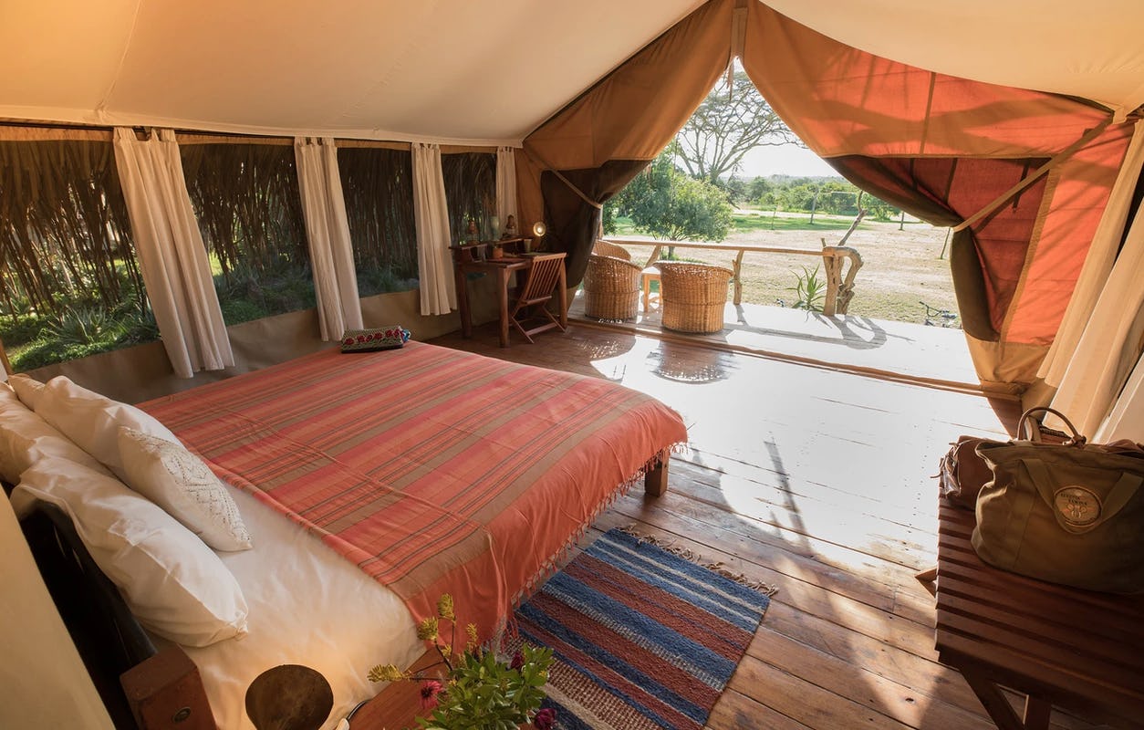 Eco Lodge Vacations Are The Unexpected Experience You Didn't Know You ...