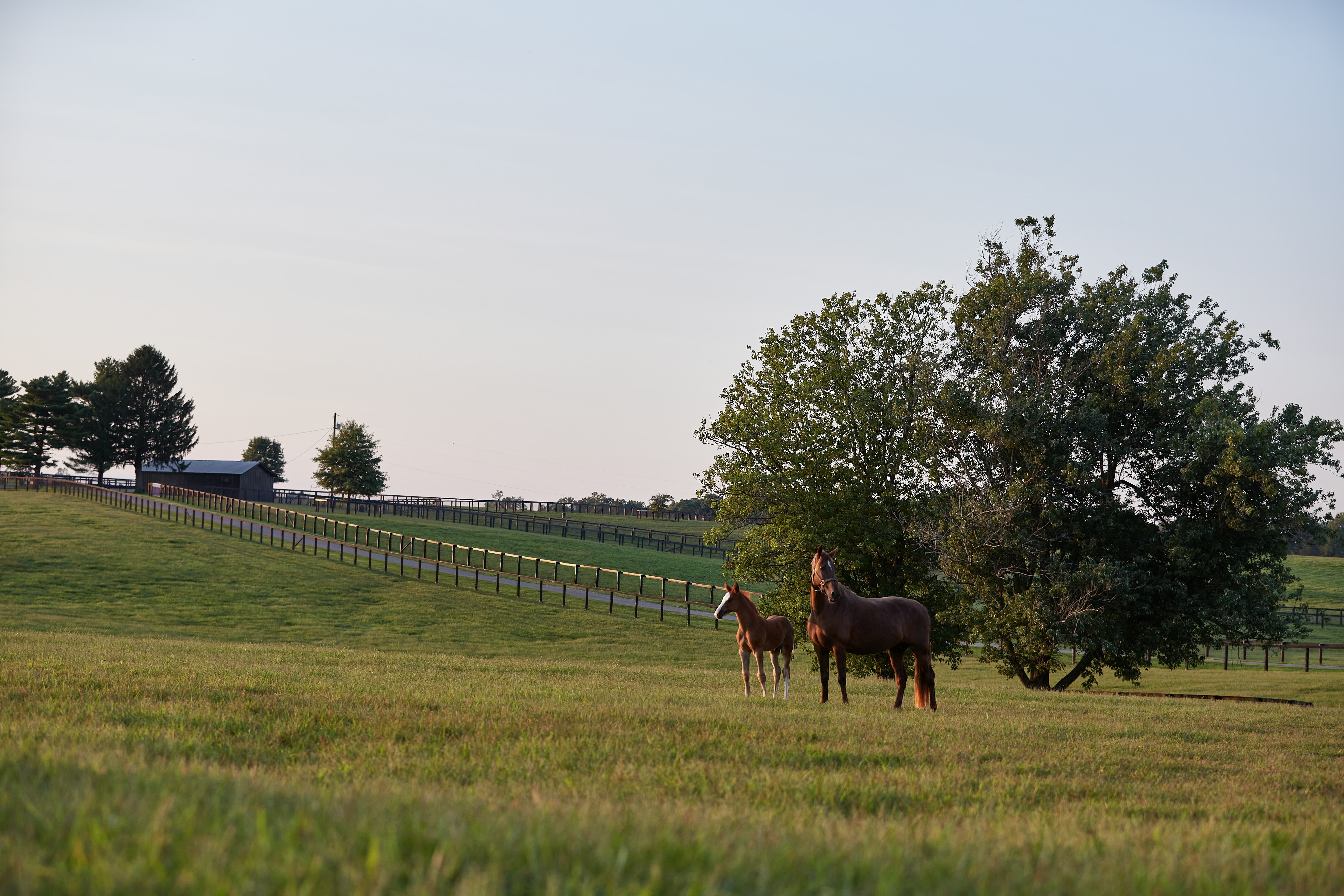 Horseback Riding Vacations For A Unique Fall Getaway