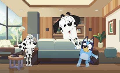 Here Are The Rules To 19 'Bluey' Games Straight From The Show