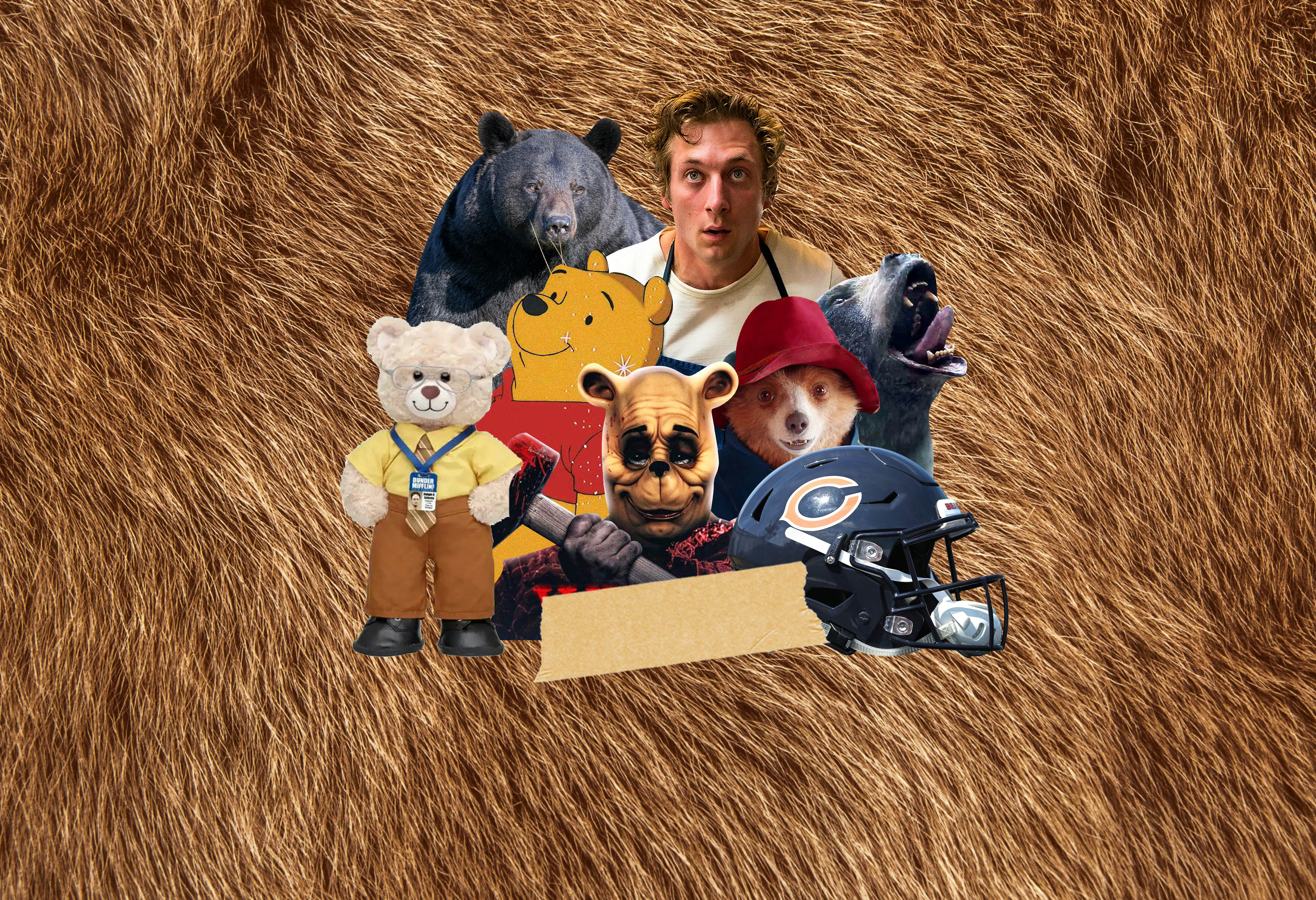 10 Famous Bears In Pop Culture