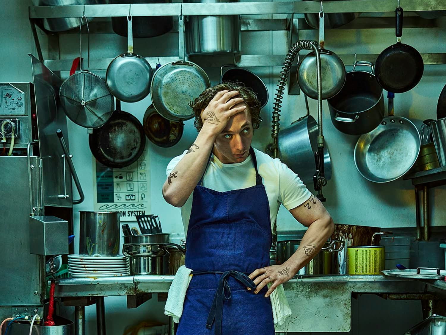 10 Famous Bears In Pop Culture