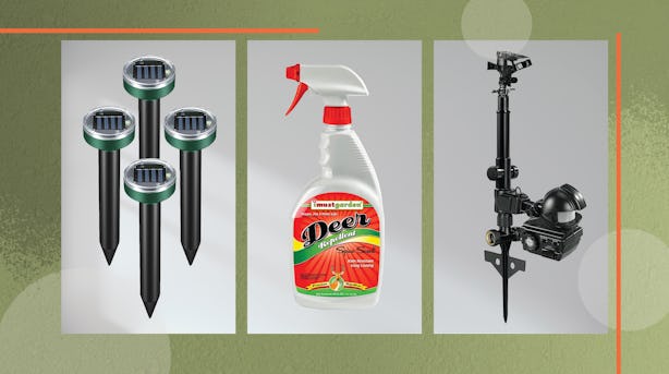 The 8 Best Animal Repellents For Gardens