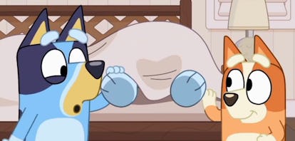 Here Are The Rules To 19 'Bluey' Games Straight From The Show