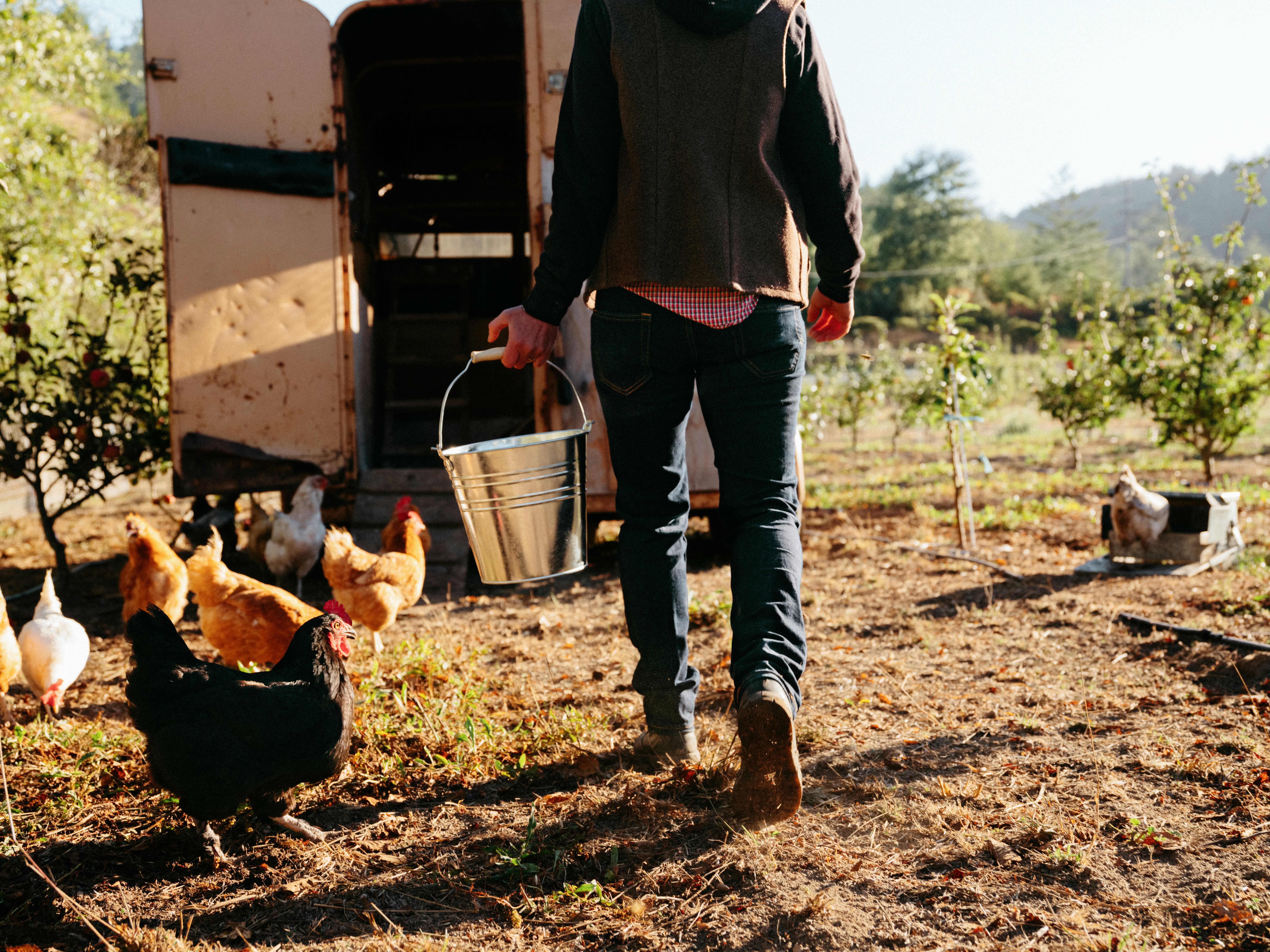 Mill's Smart Trash Can Turns Smelly Food Waste Into Chicken Feed (Really)