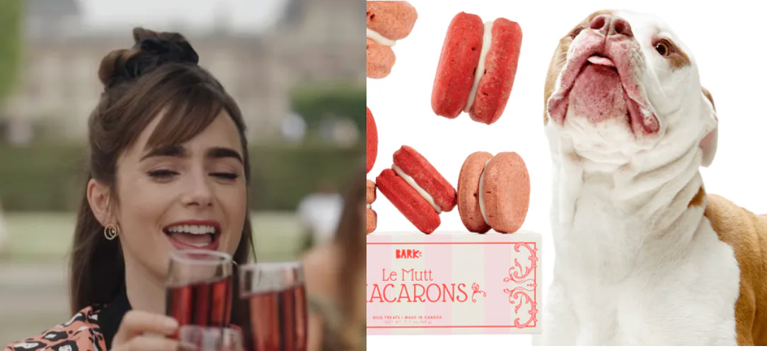 How To Get BARK's Dog Macaron Cookies For Valentine's Day