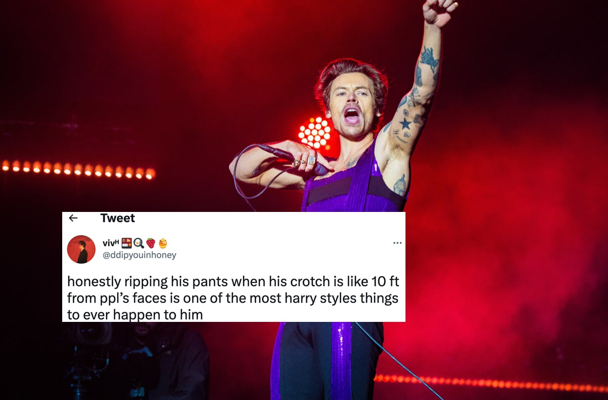 These 10 Memes Of Harry Styles Ripping His Pants Will Give You FOMO ...